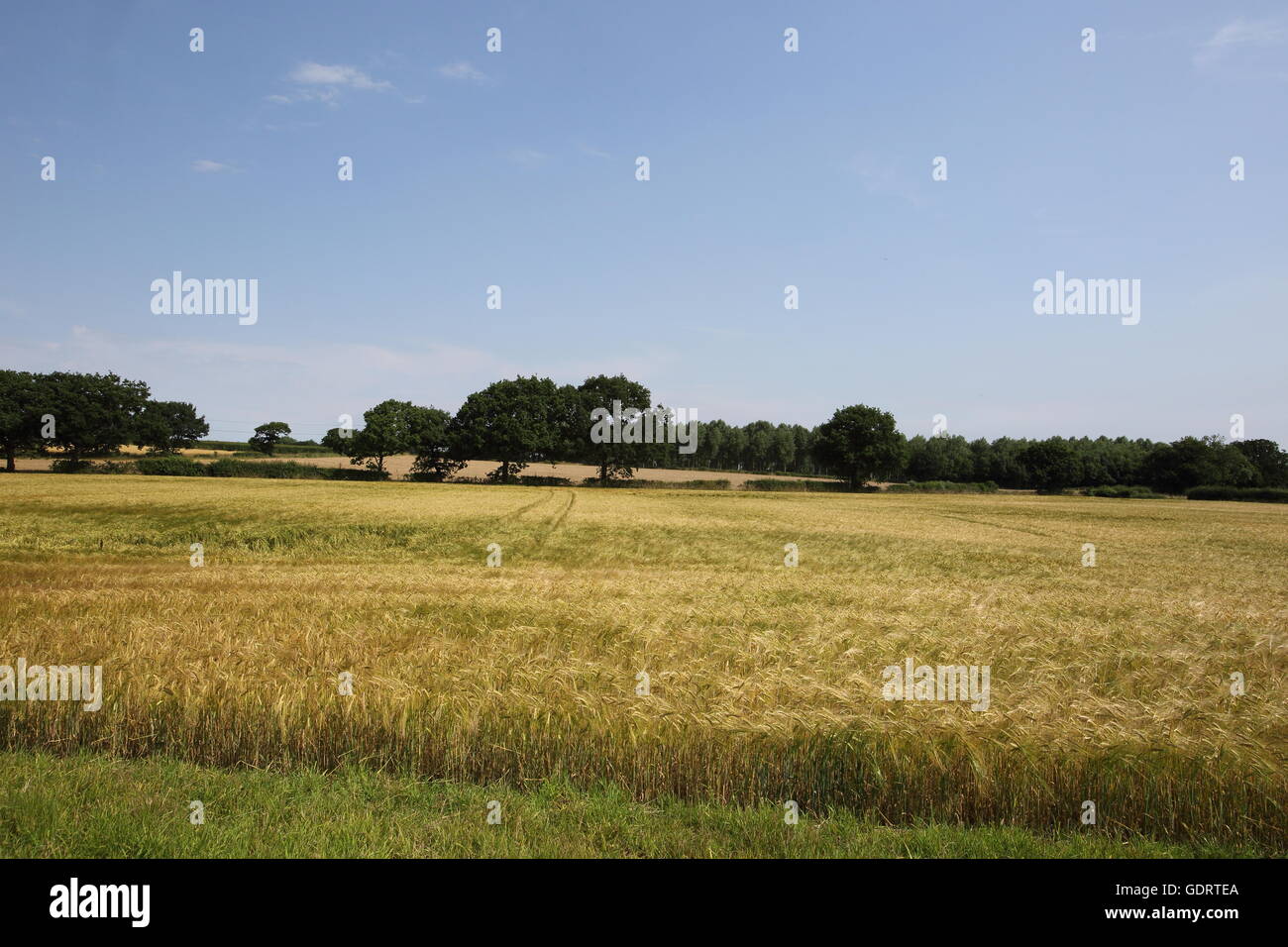Pickmere hi-res stock photography and images - Alamy
