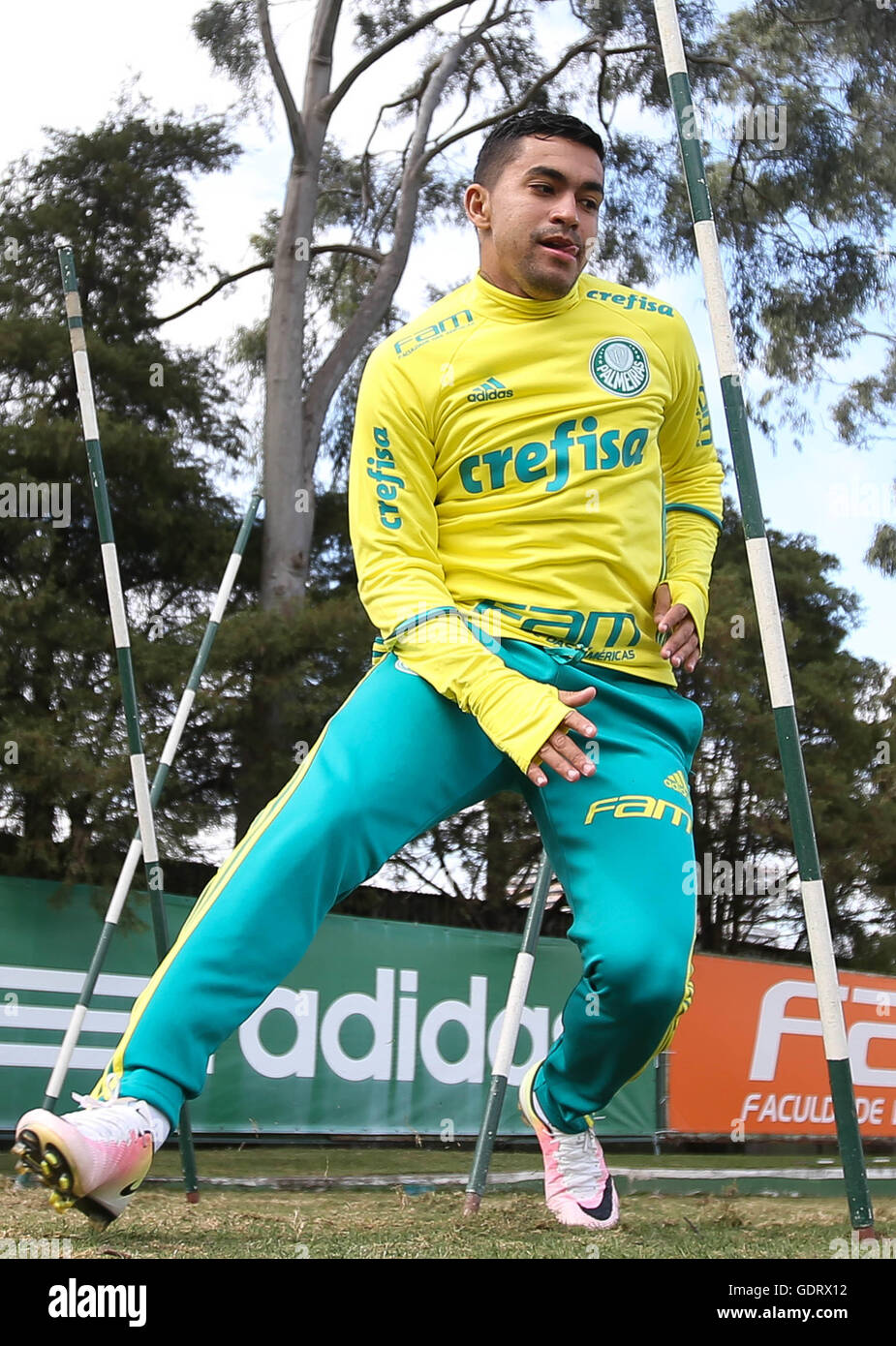 Dudu player, SE Palmeiras, during training, the Football Academy Stock ...