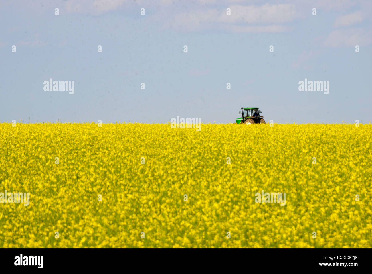 Bayannur chinas inner mongolia autonomous hi-res stock photography and ...