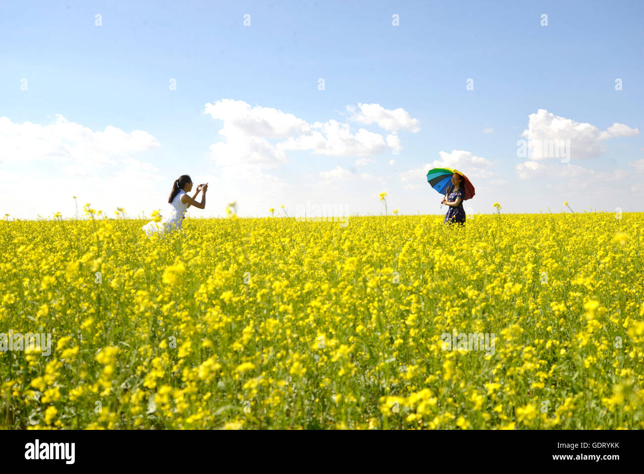 Bayan Nur, China's Inner Mongolia Autonomous Region. 20th July, 2016 ...