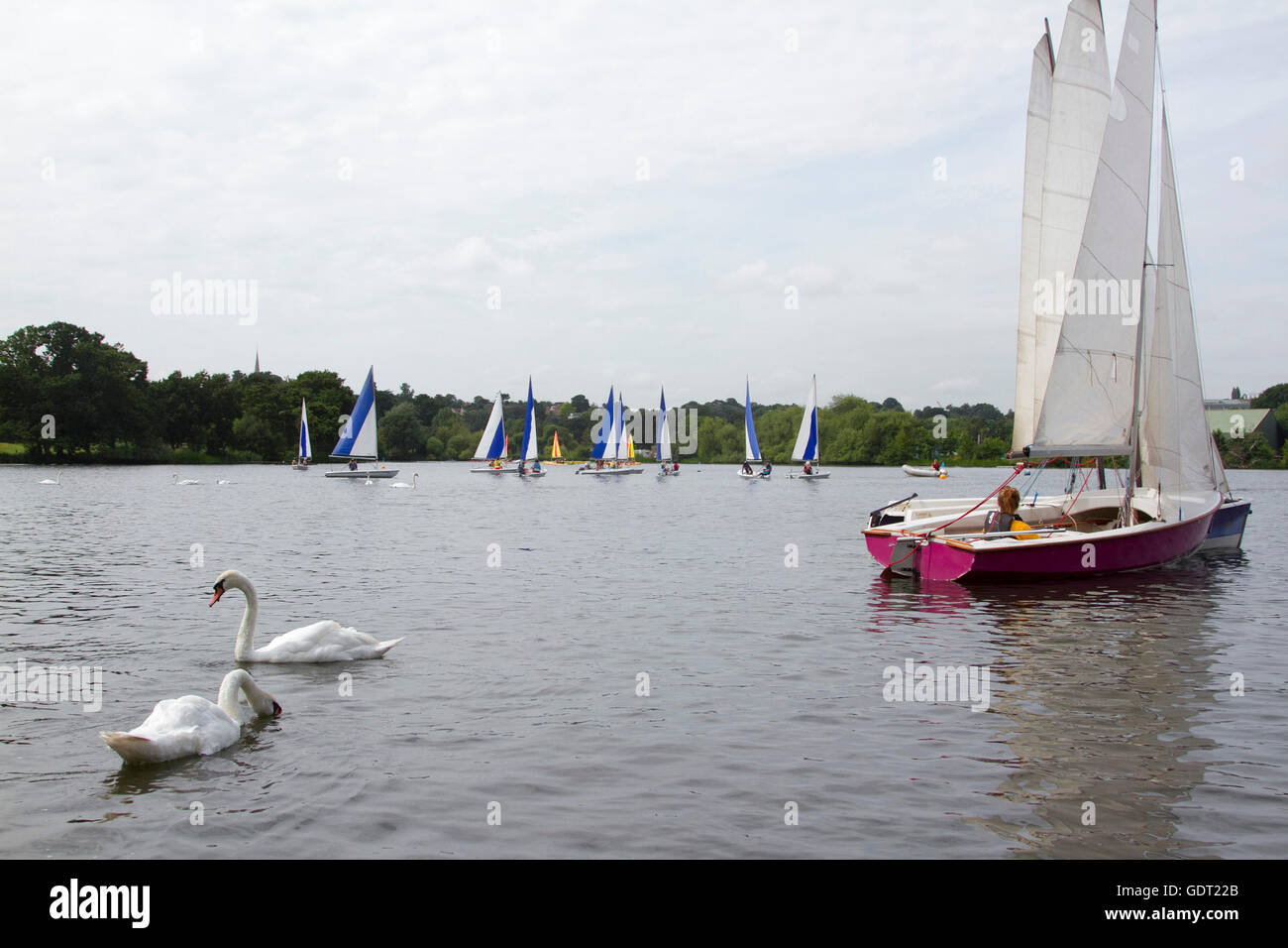 Group of sailing dinghies hi-res stock photography and images - Alamy