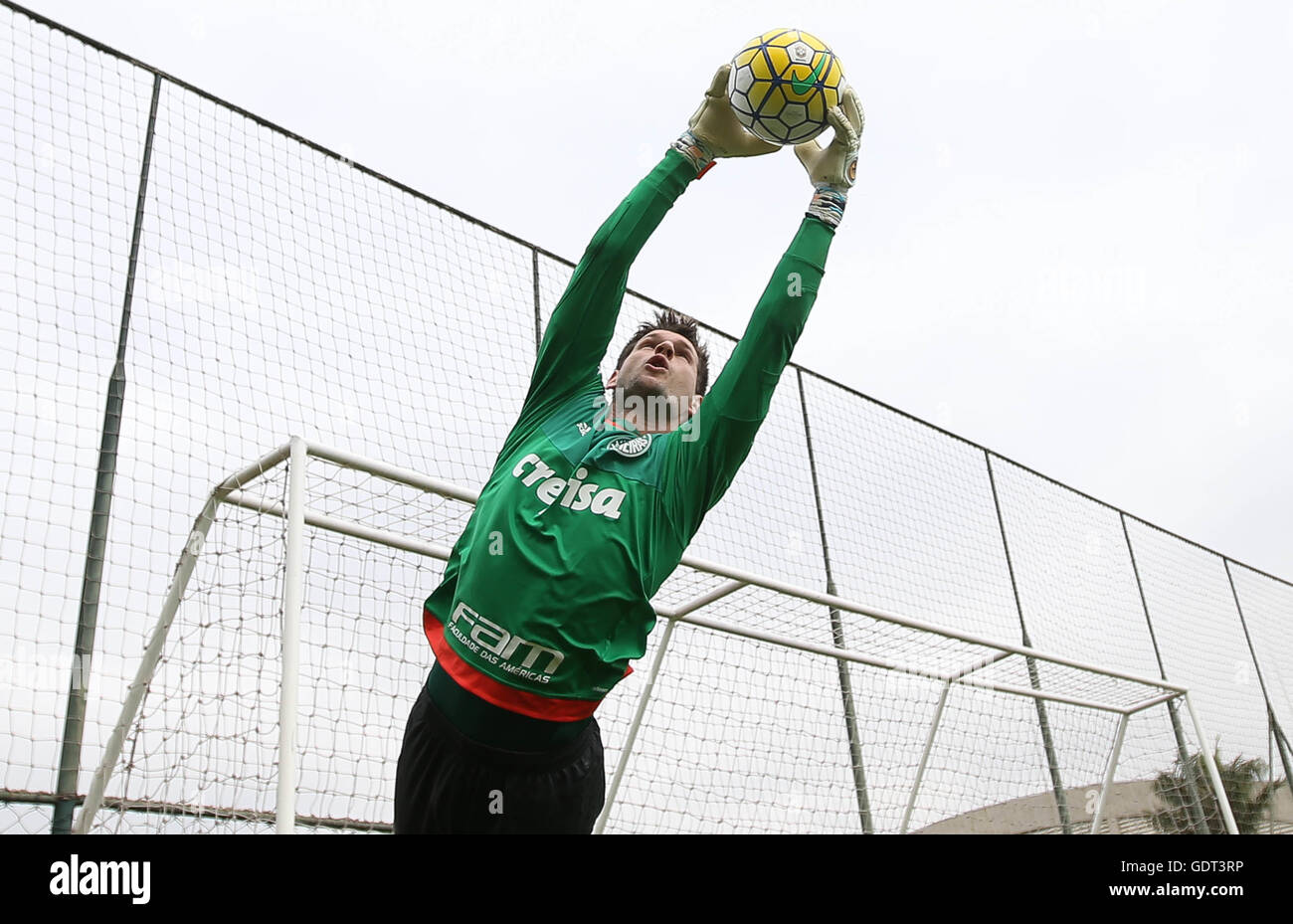 Goalkeeper Vagner, the SE Palmeiras, during training, the Football ...