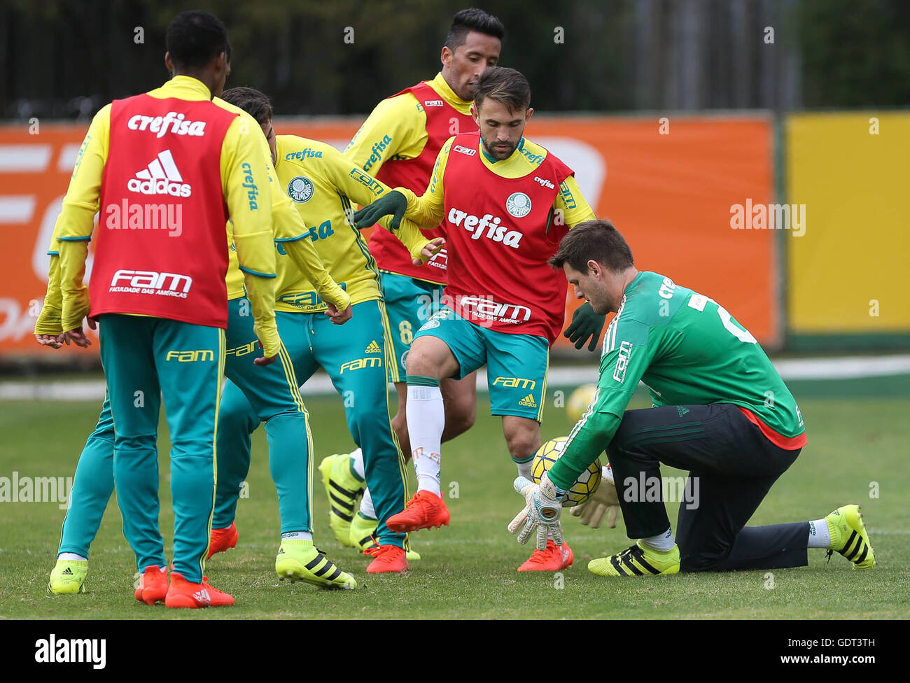 Goalkeeper Vagner, the SE Palmeiras, during training, the Football ...
