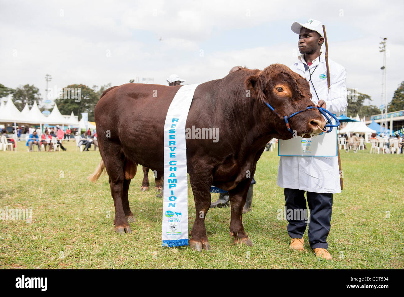 (160721) -- NAIROBI, July 21, 2016(Xinhua) -- A farmer shows a bull ...