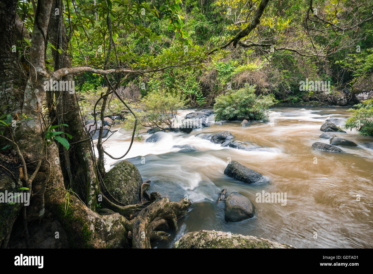 Motion blur of flowing mud river in rainy forest moving through rocks ...