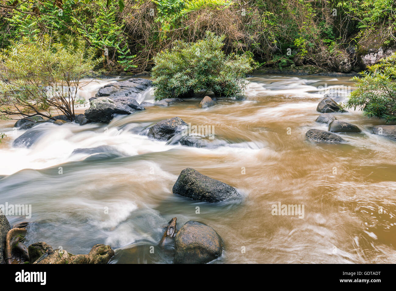 Motion blur of flowing mud river in rainy forest moving through rocks ...