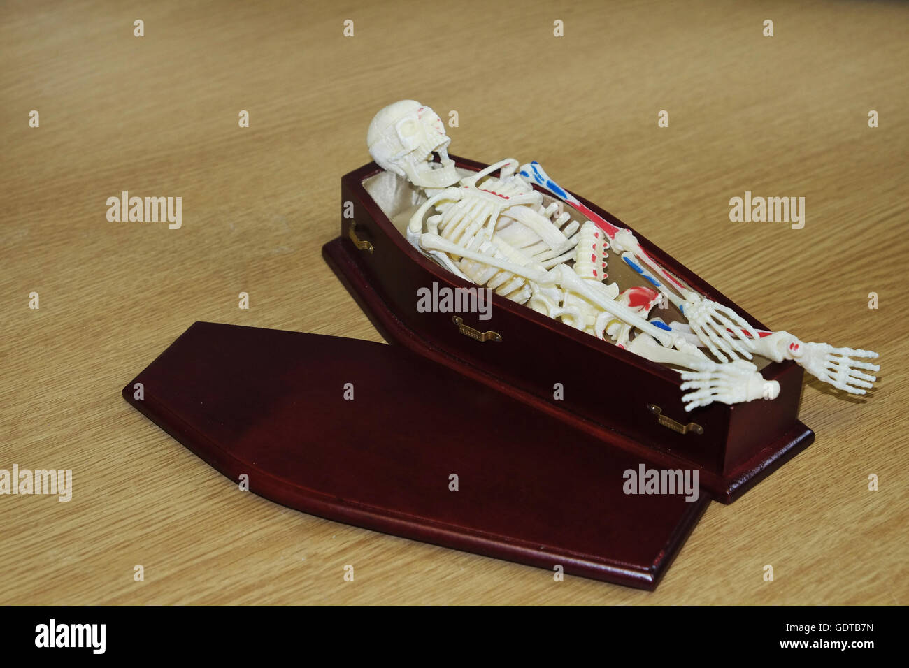 Skeleton in coffin hi-res stock photography and images - Alamy