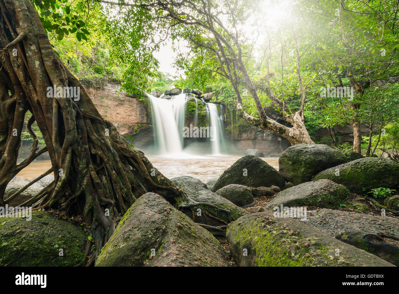 Moving mud waterfall surrounded by green tree and big stone. Sunlight ...