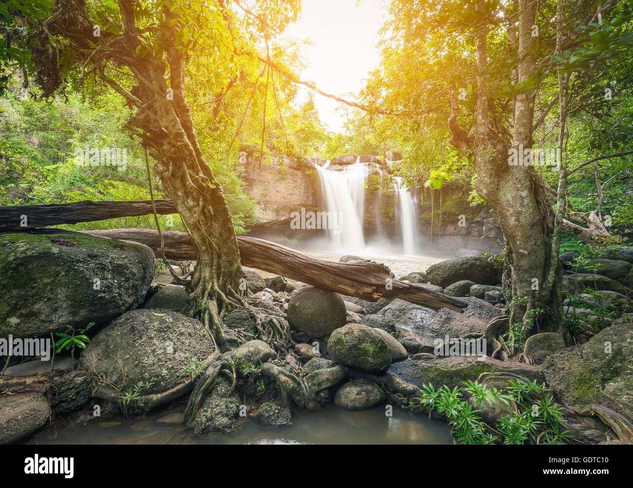 Moving mud waterfall surrounded by green tree and big stone. Orange ...