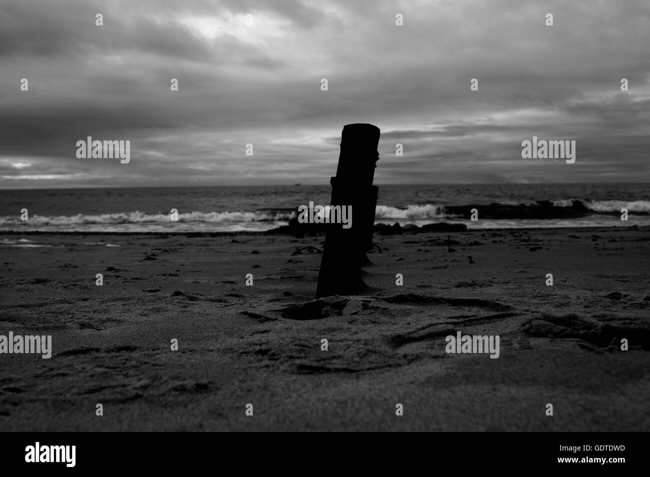 Beach, Seashore, Sea side, Strand, Seaboard, Sea, Ocean, Wild, Nature ...