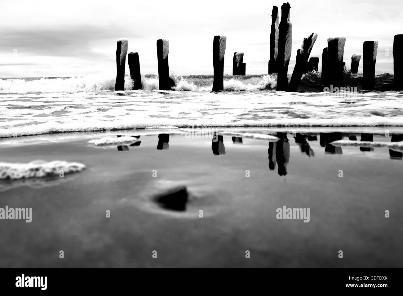 Beach, Seashore, Sea side, Strand, Seaboard, Sea, Ocean, Wild, Nature ...