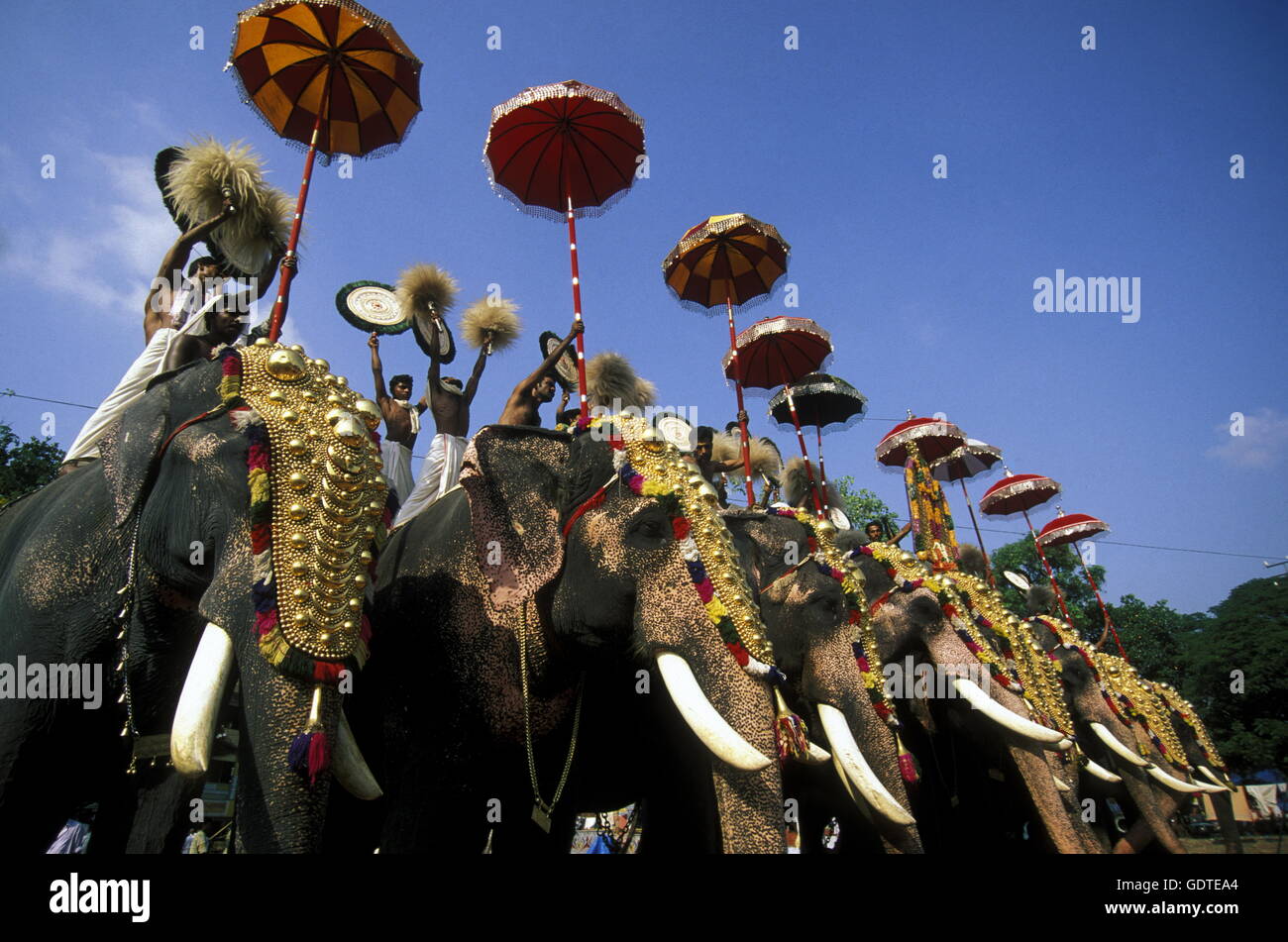 Pooram festival elephant hi-res stock photography and images - Alamy