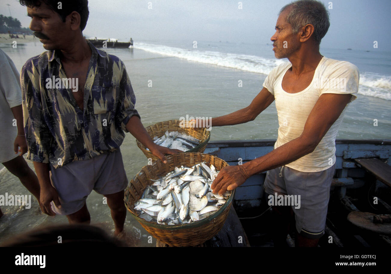 Fishing men at the beach of Colva in the Province Goa in India Stock ...