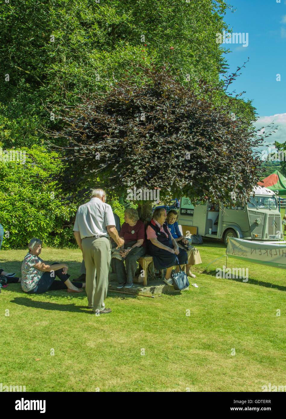 Group under tree hi-res stock photography and images - Alamy