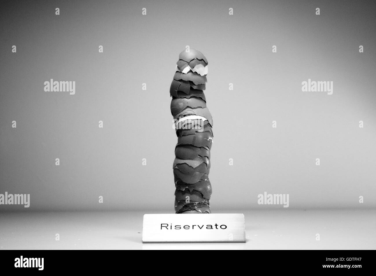 Shells fine art Black and White Stock Photos & Images - Alamy