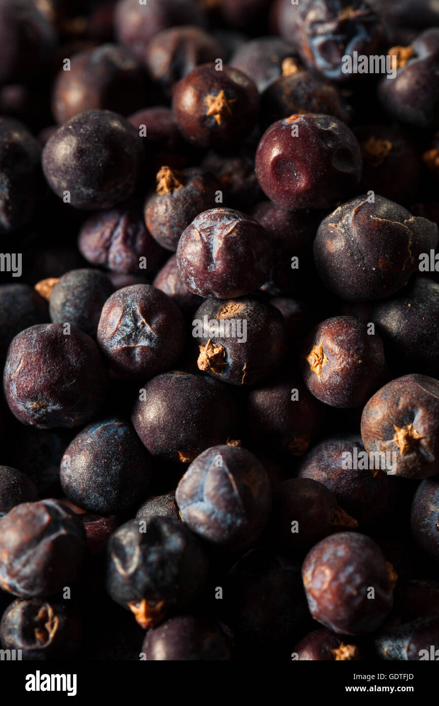 Juniper berries hi-res stock photography and images - Alamy