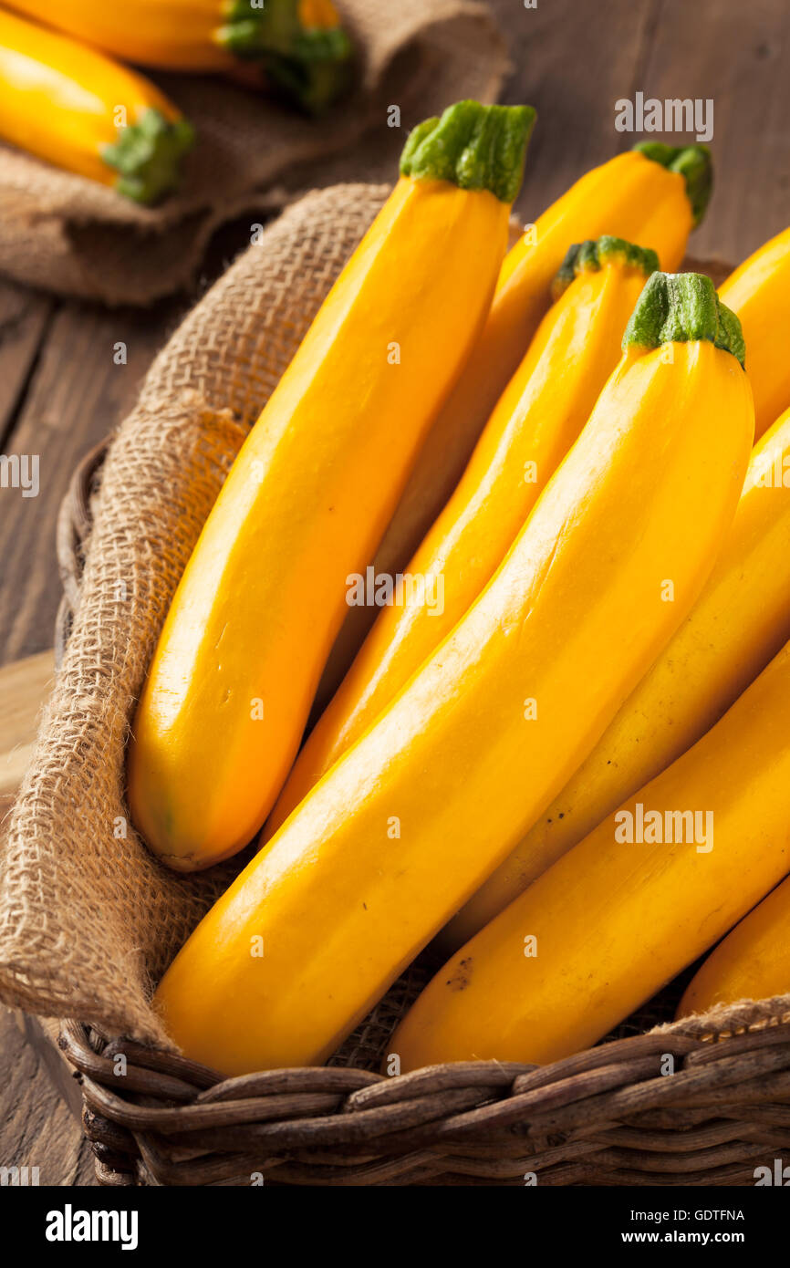 Raw Organic Yellow Zucchini Squash Ready to Cut Up Stock Photo - Alamy