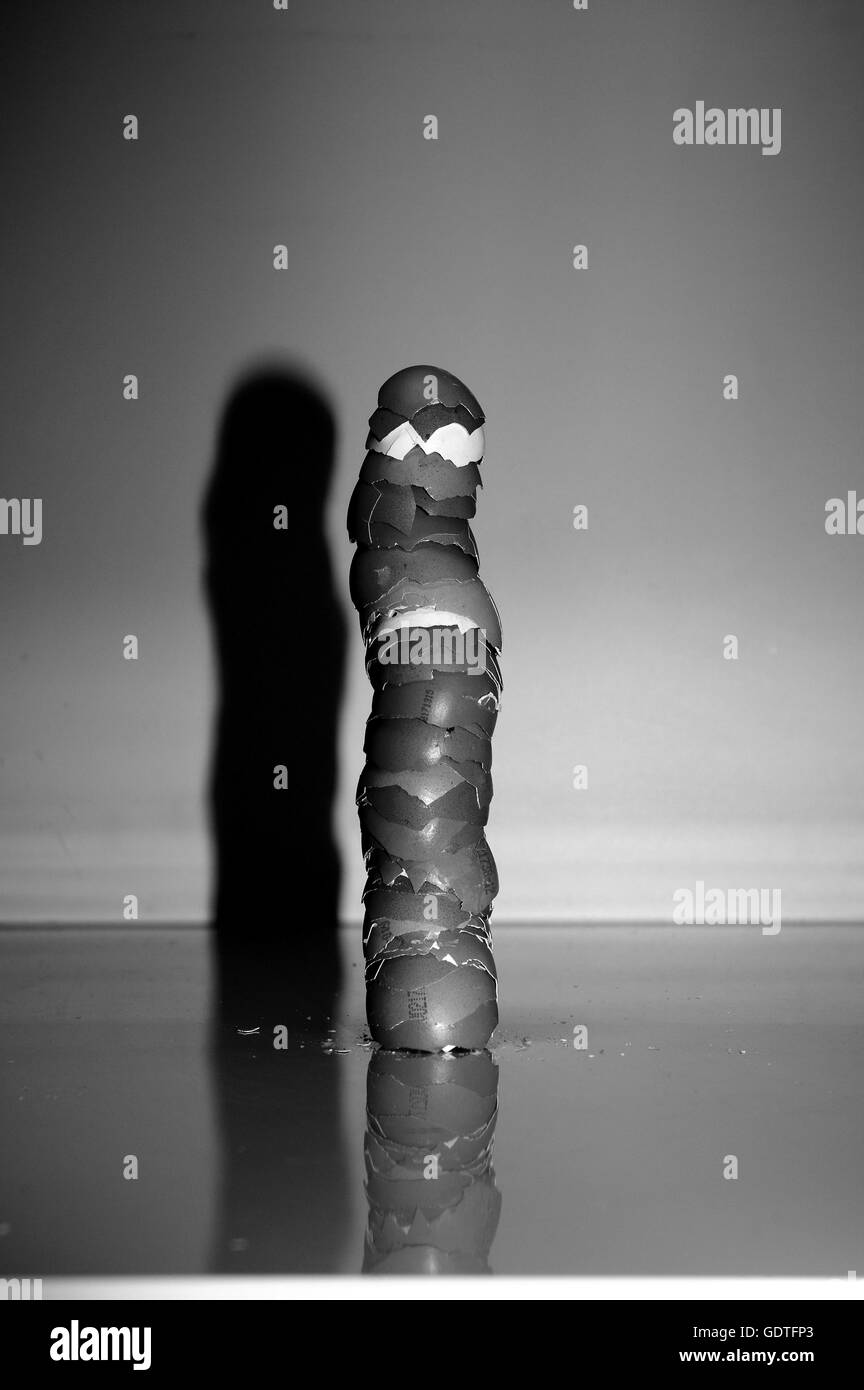 Shells fine art Black and White Stock Photos & Images - Alamy