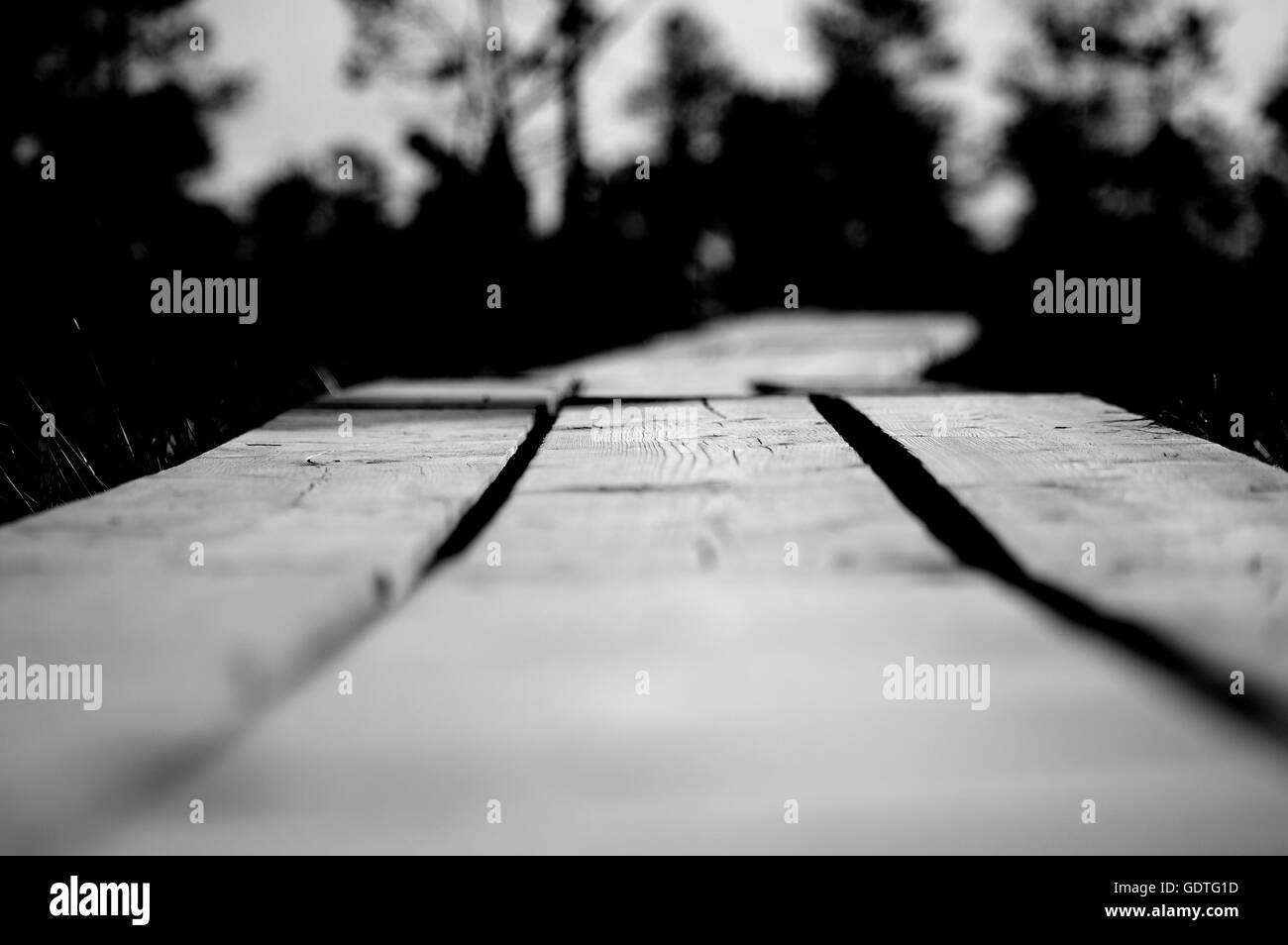 Footbridge, Pathway, Path, Road, Way, Perspective, Wood pathway, Wood ...
