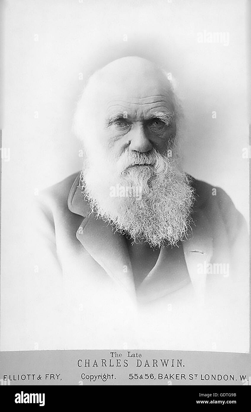 CHARLES DARWIN (1809-1882) English naturalist on his Carte de Visite ...