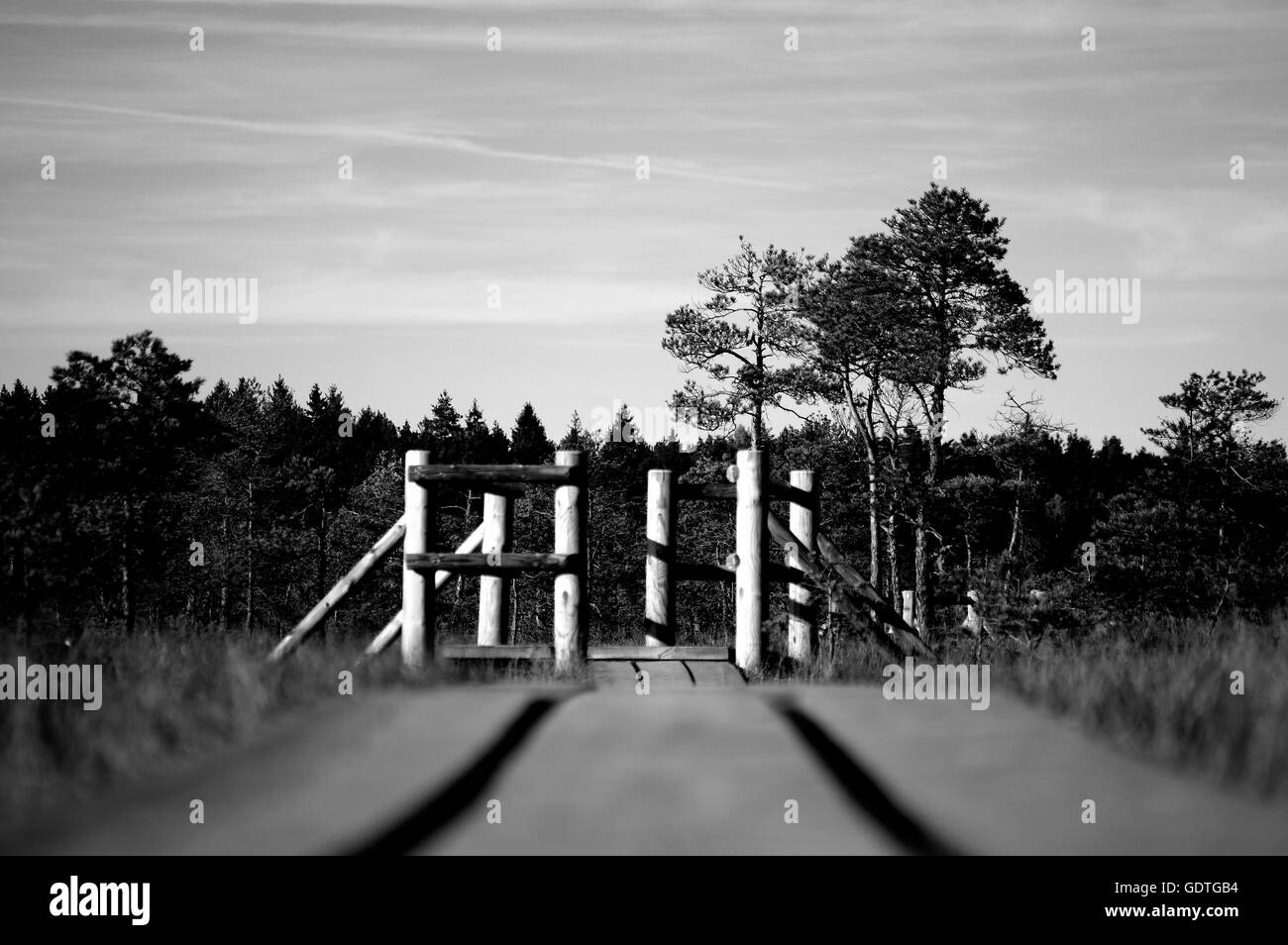 Footbridge, Pathway, Path, Road, Way, Perspective, Wood pathway, Wood ...