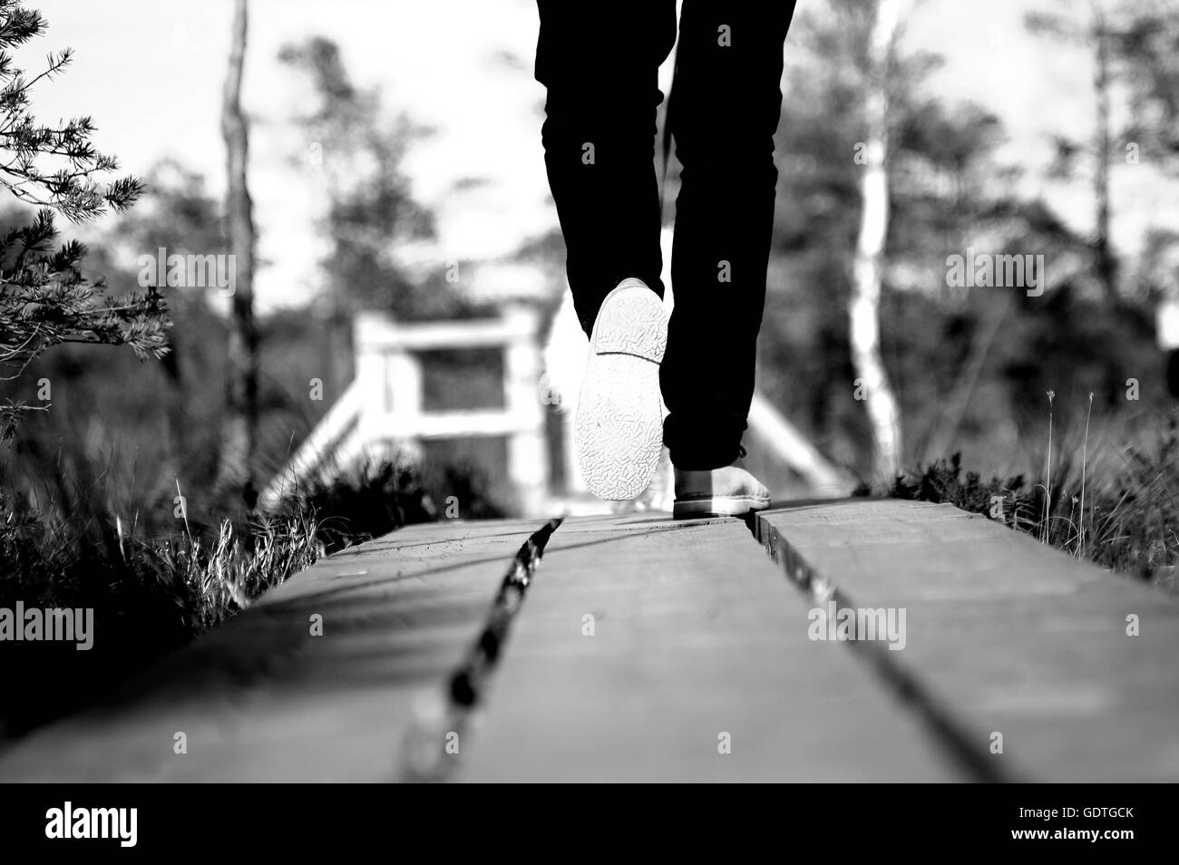 Footbridge, Pathway, Path, Road, Way, Perspective, Wood pathway, Wood ...