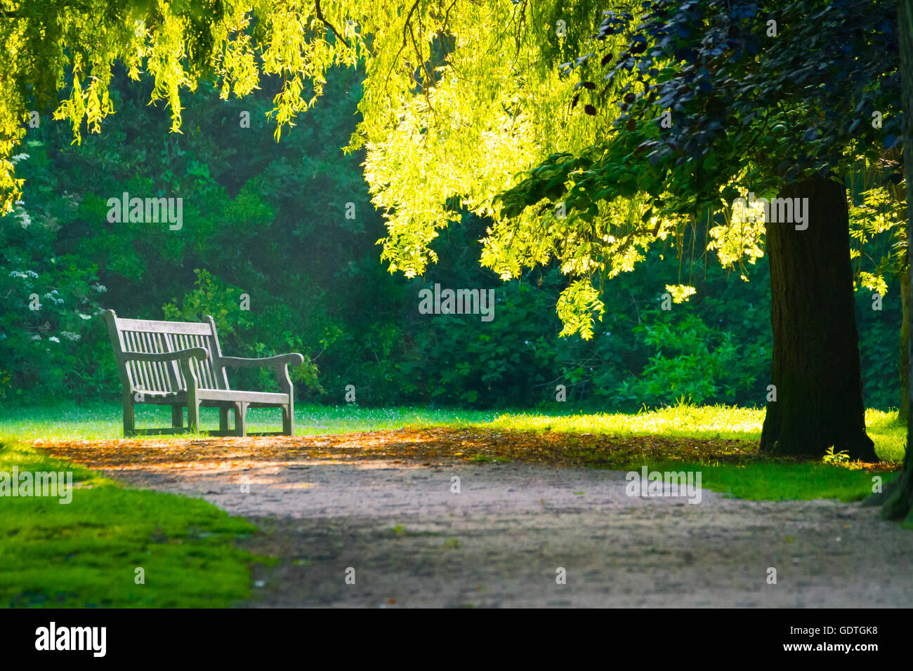 Park bench in the morning light Stock Photo - Alamy