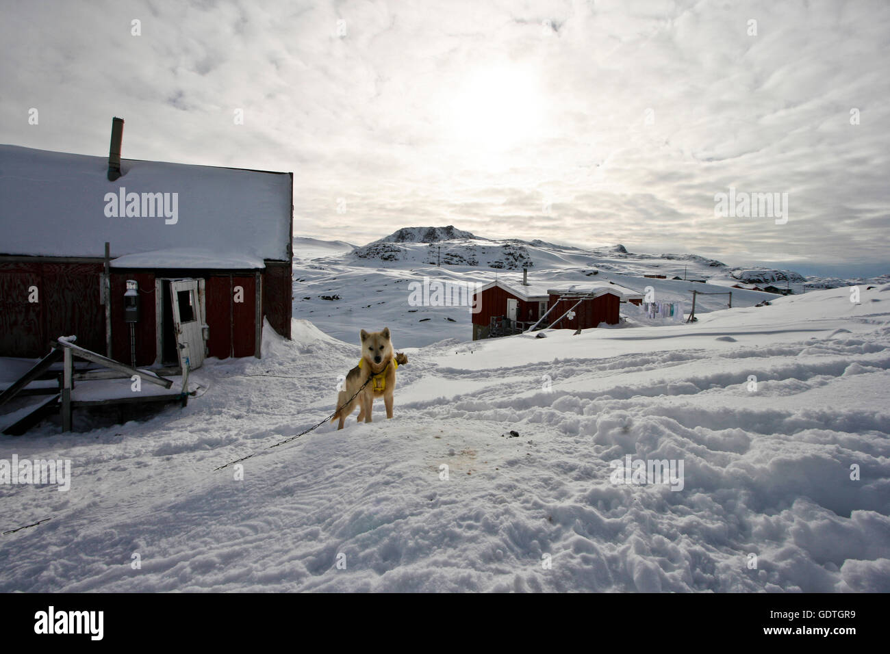 Kulusuk greenland winter houses hi-res stock photography and images - Alamy