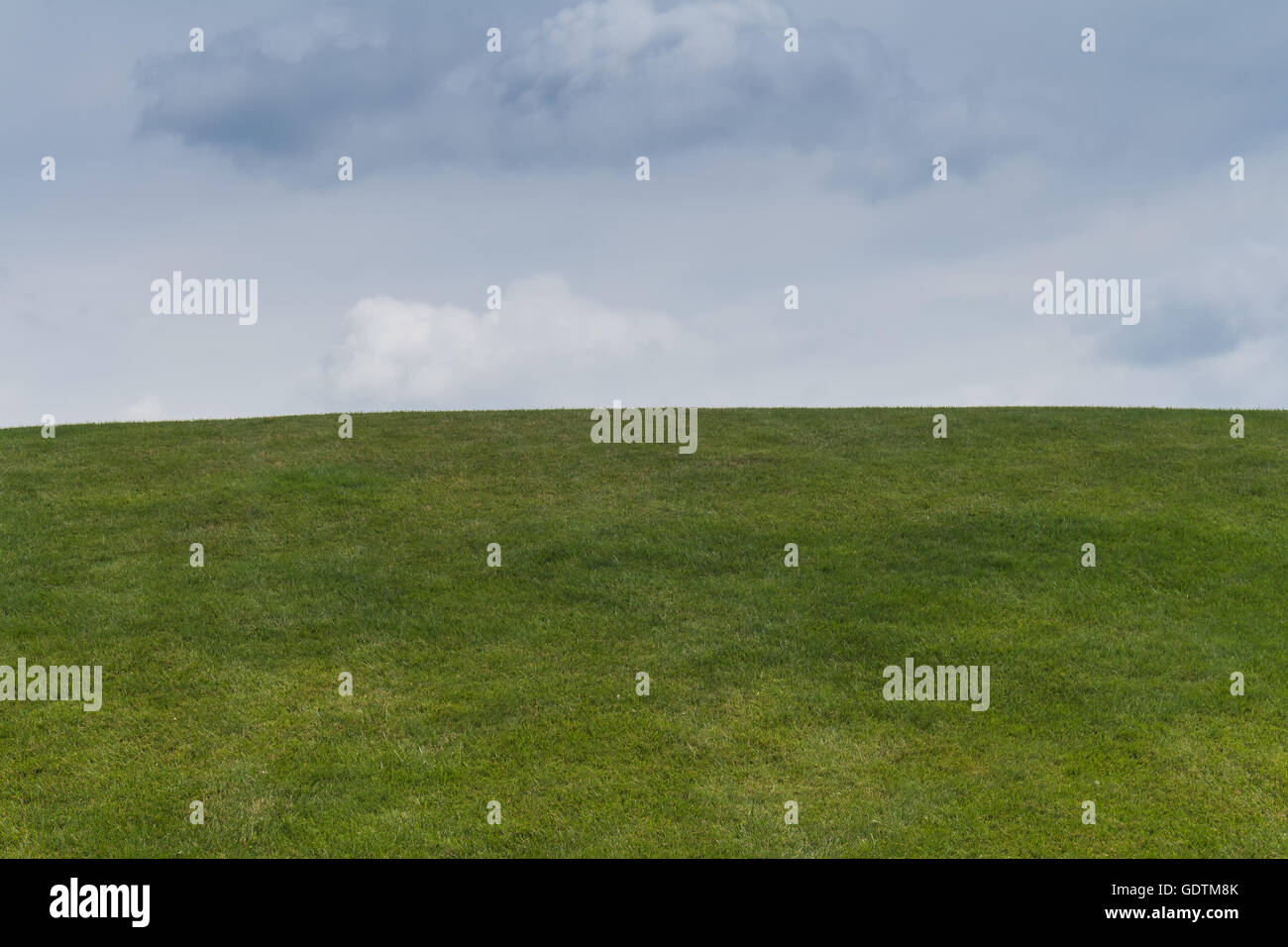 Intense fresh green color of the grass growing on a hill. Sky with many ...