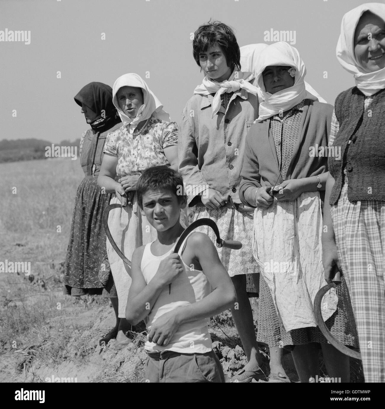 Reaping hook hi-res stock photography and images - Alamy