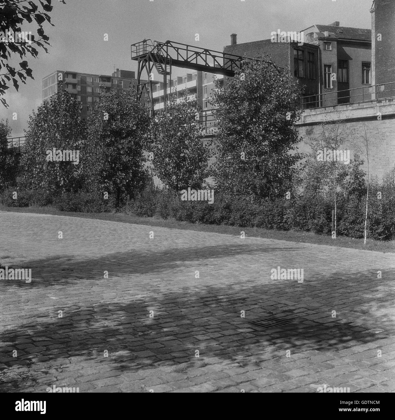 Green trees a Black and White Stock Photos & Images - Alamy