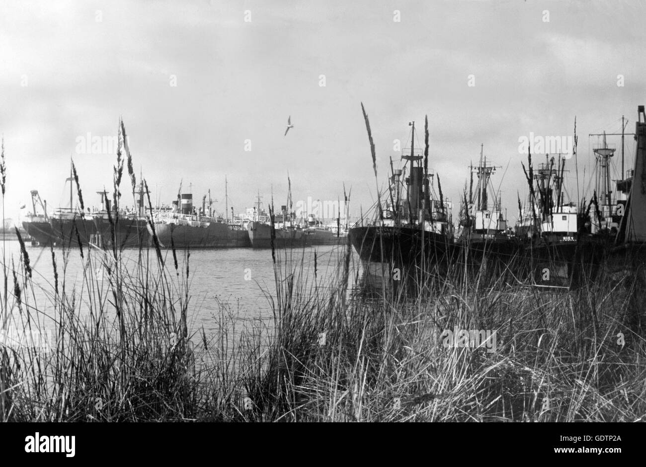 Ship in port hamburg Black and White Stock Photos & Images - Alamy