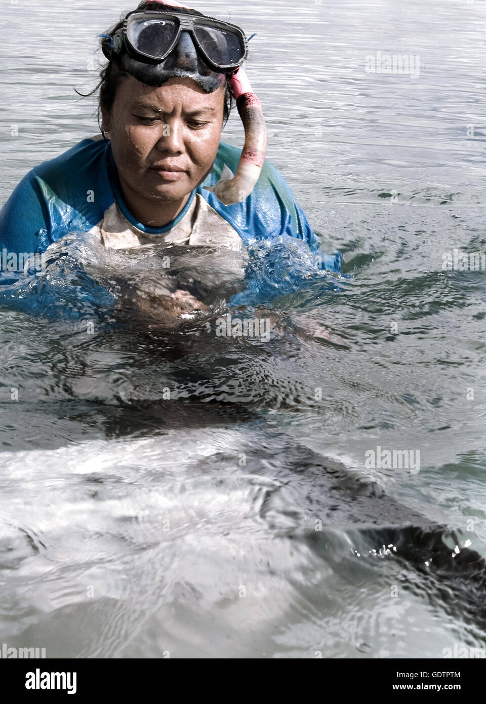A coral collector saws up a 'tombong rock', a coral block at the coral ...