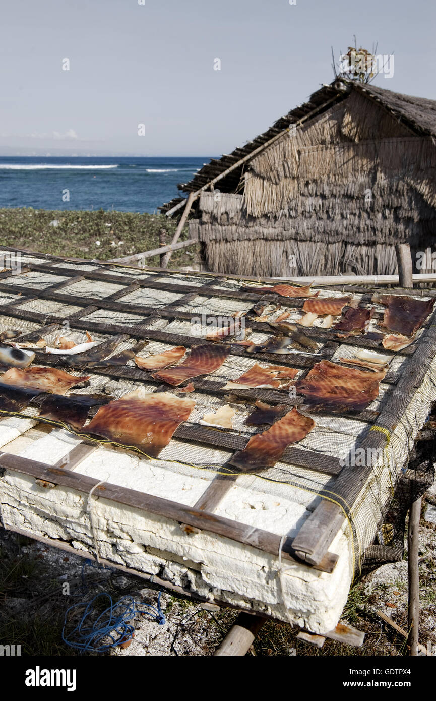 Fish is dried in the open air, huts of the coral collectors, the beach ...