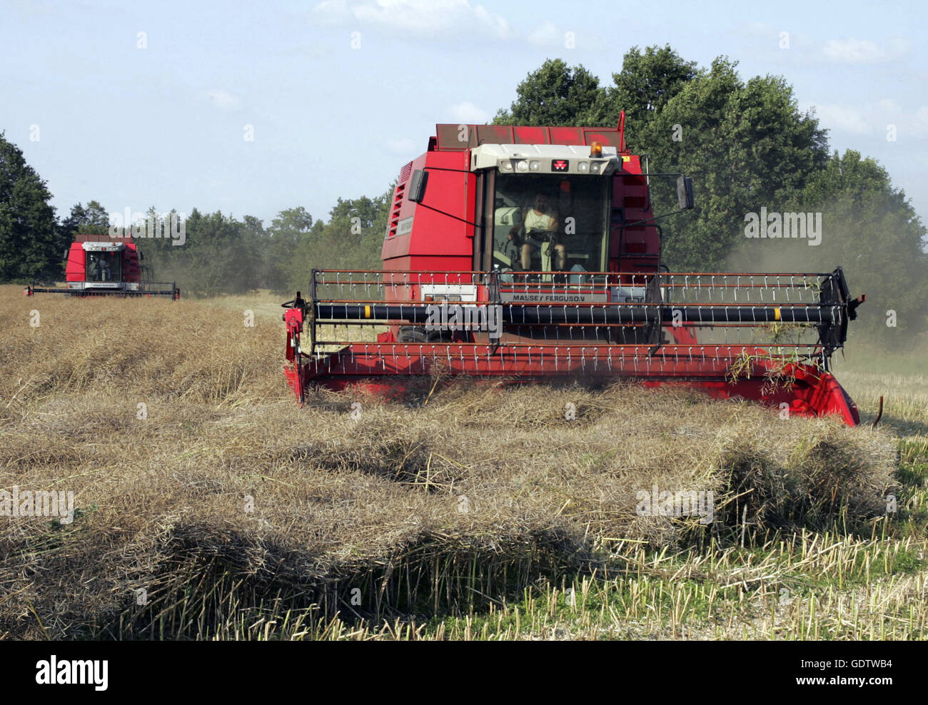 Combine harvester harvesting rapeseed hi-res stock photography and ...