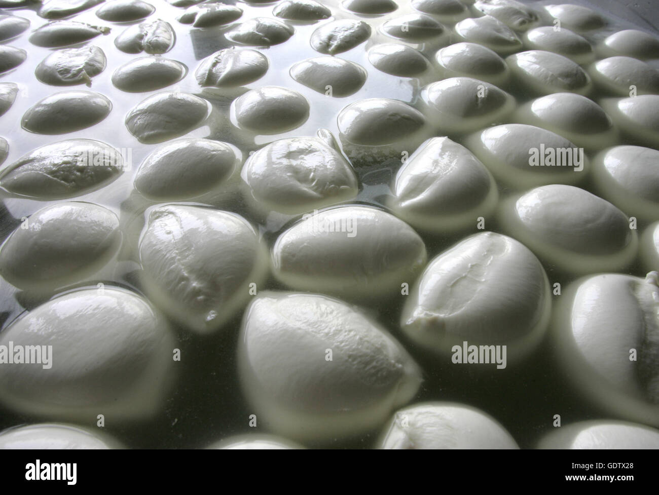 Production of buffalo mozzarella Stock Photo - Alamy