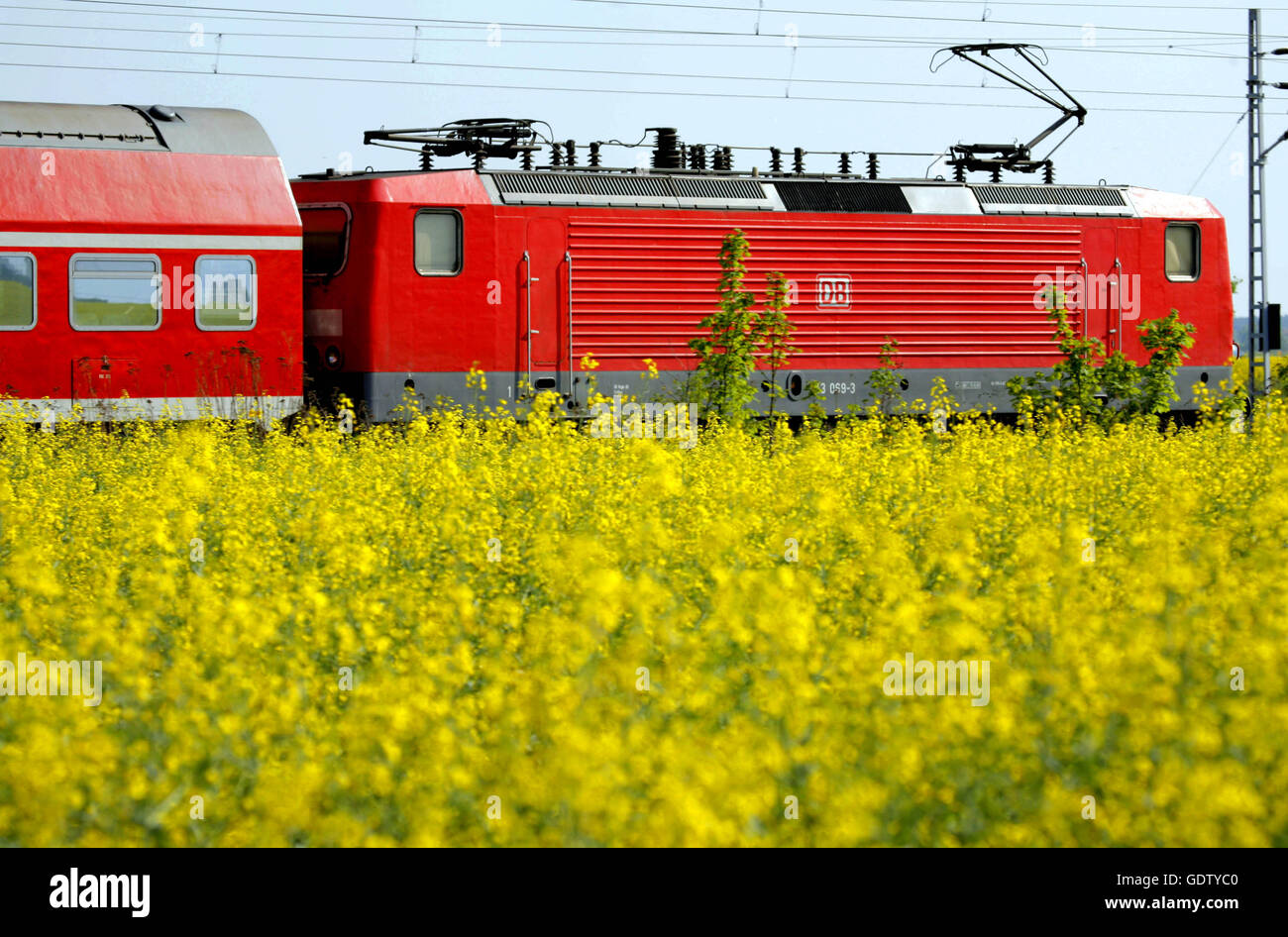 Train in the rape field Stock Photo - Alamy