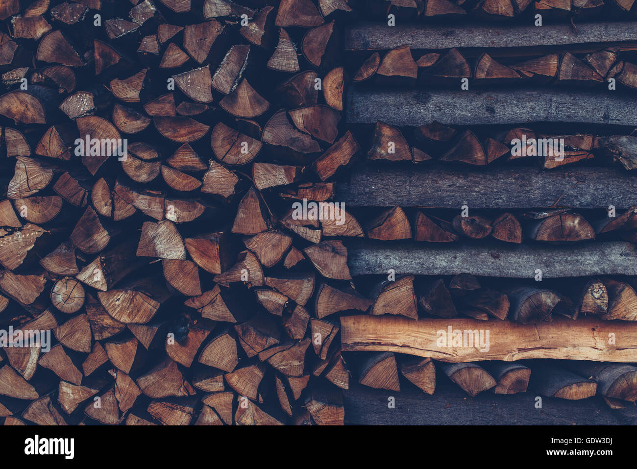 Logs in a forest in Germany Stock Photo - Alamy