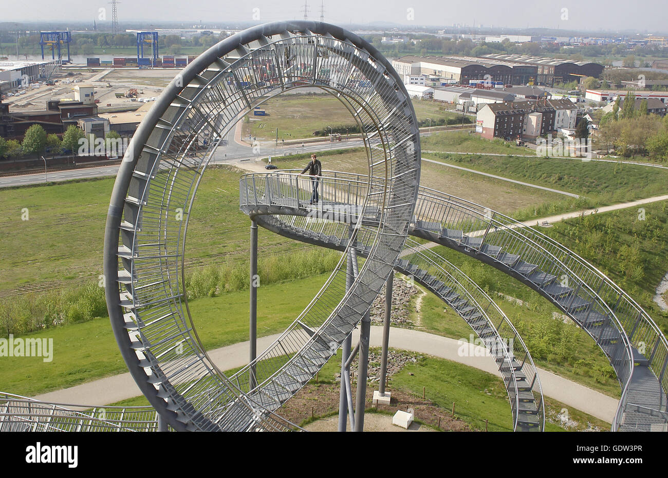 Tiger and Turtle Stock Photo - Alamy