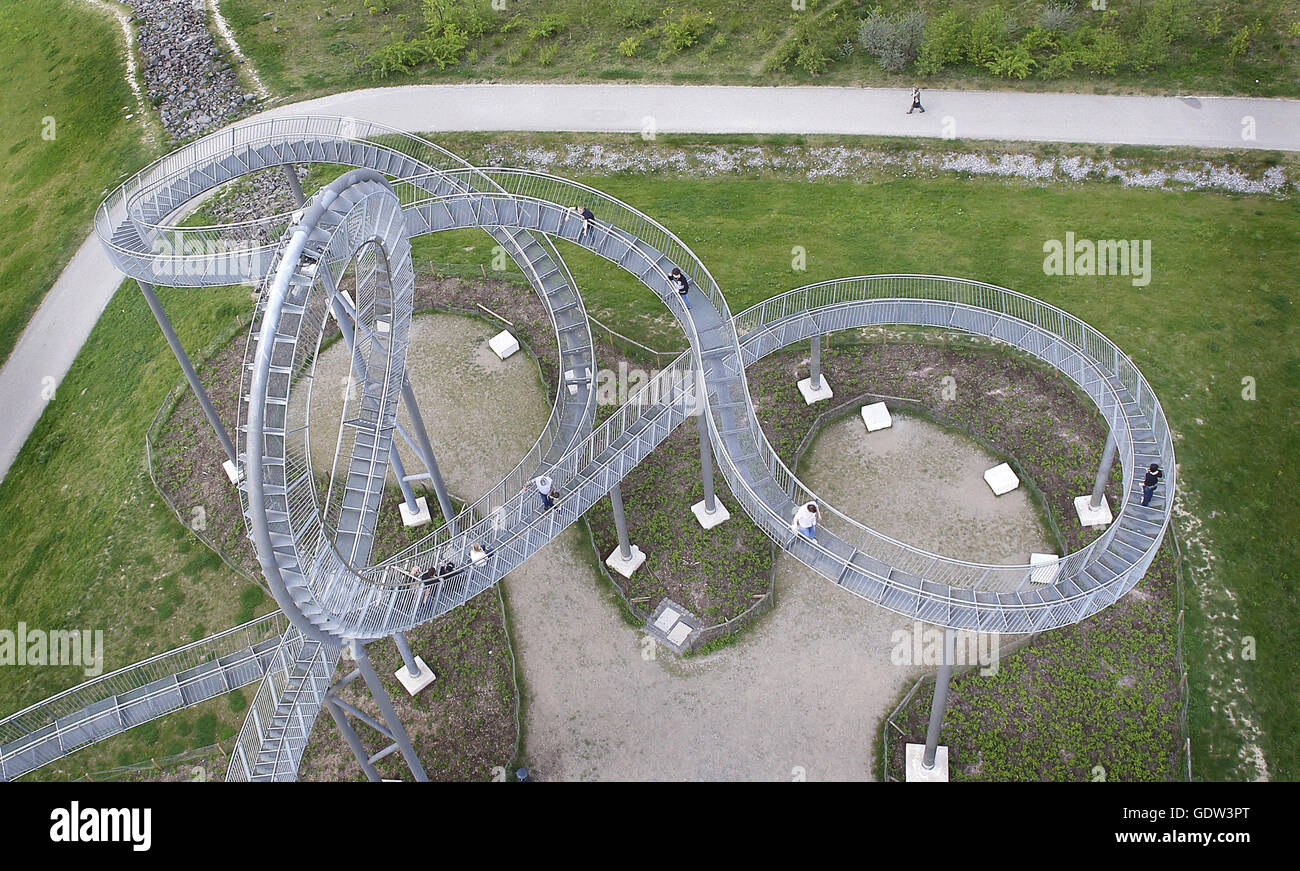 Tiger and Turtle Stock Photo - Alamy