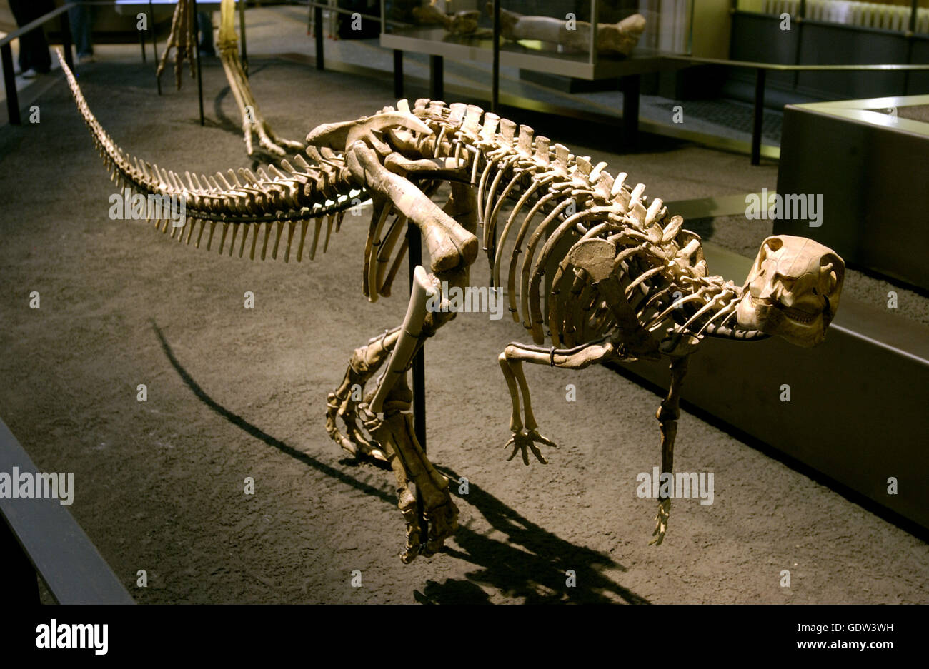 The Museum fuer Naturkunde Stock Photo - Alamy