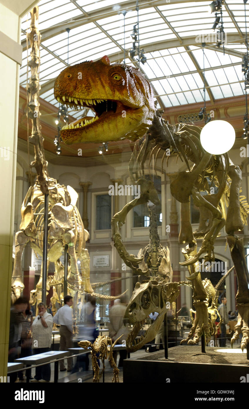 The Museum fuer Naturkunde Stock Photo - Alamy