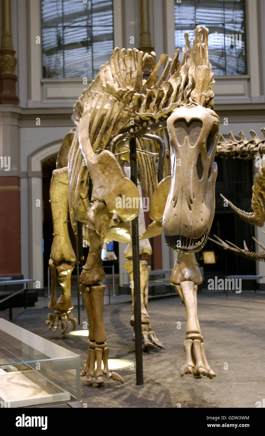 The Museum fuer Naturkunde Stock Photo - Alamy