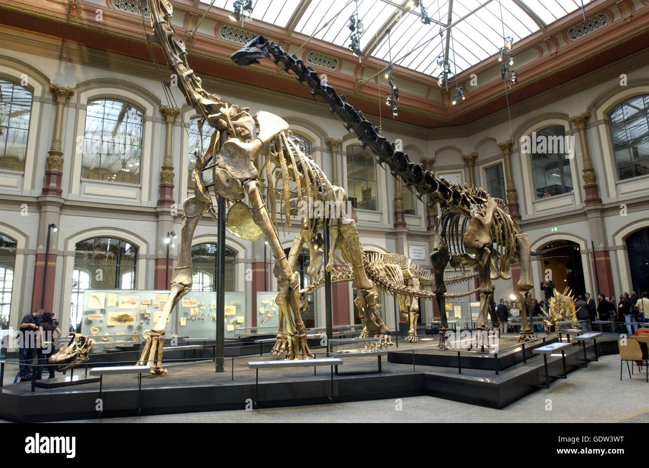 The Museum fuer Naturkunde Stock Photo - Alamy
