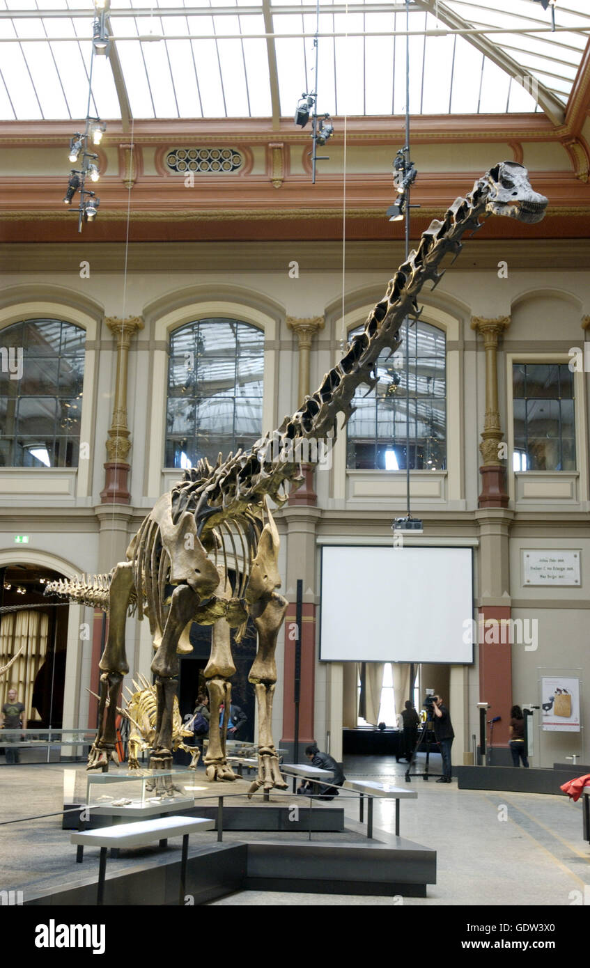 The Museum fuer Naturkunde Stock Photo - Alamy