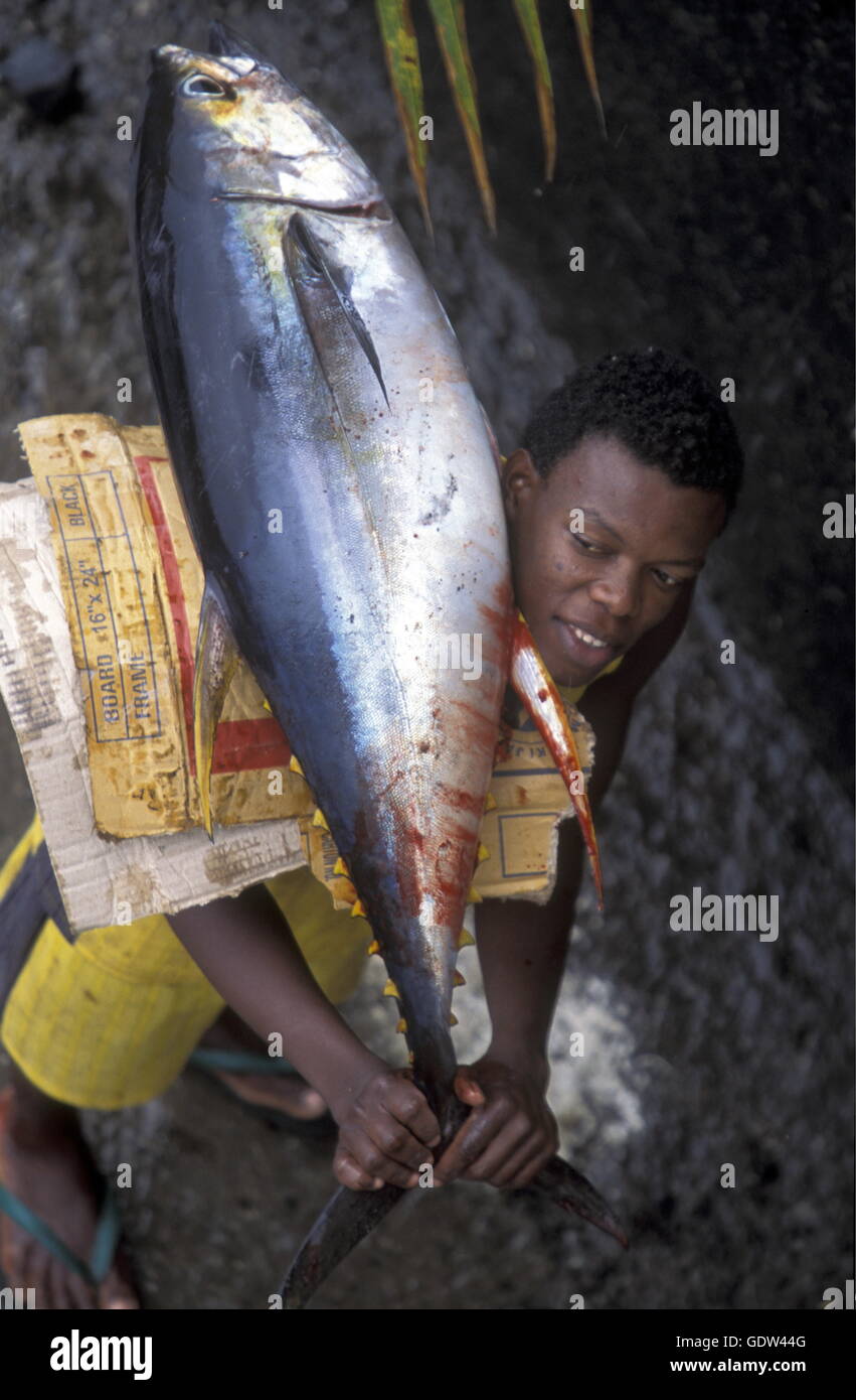 Comoros fish hi-res stock photography and images - Alamy