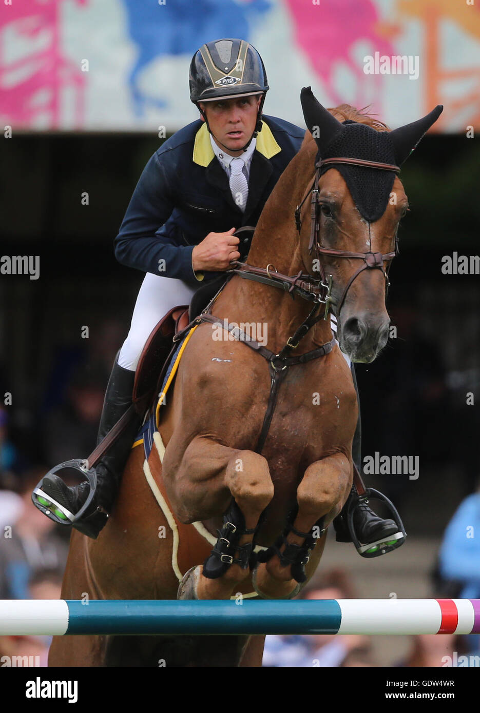 Golden hawk horse hi-res stock photography and images - Alamy