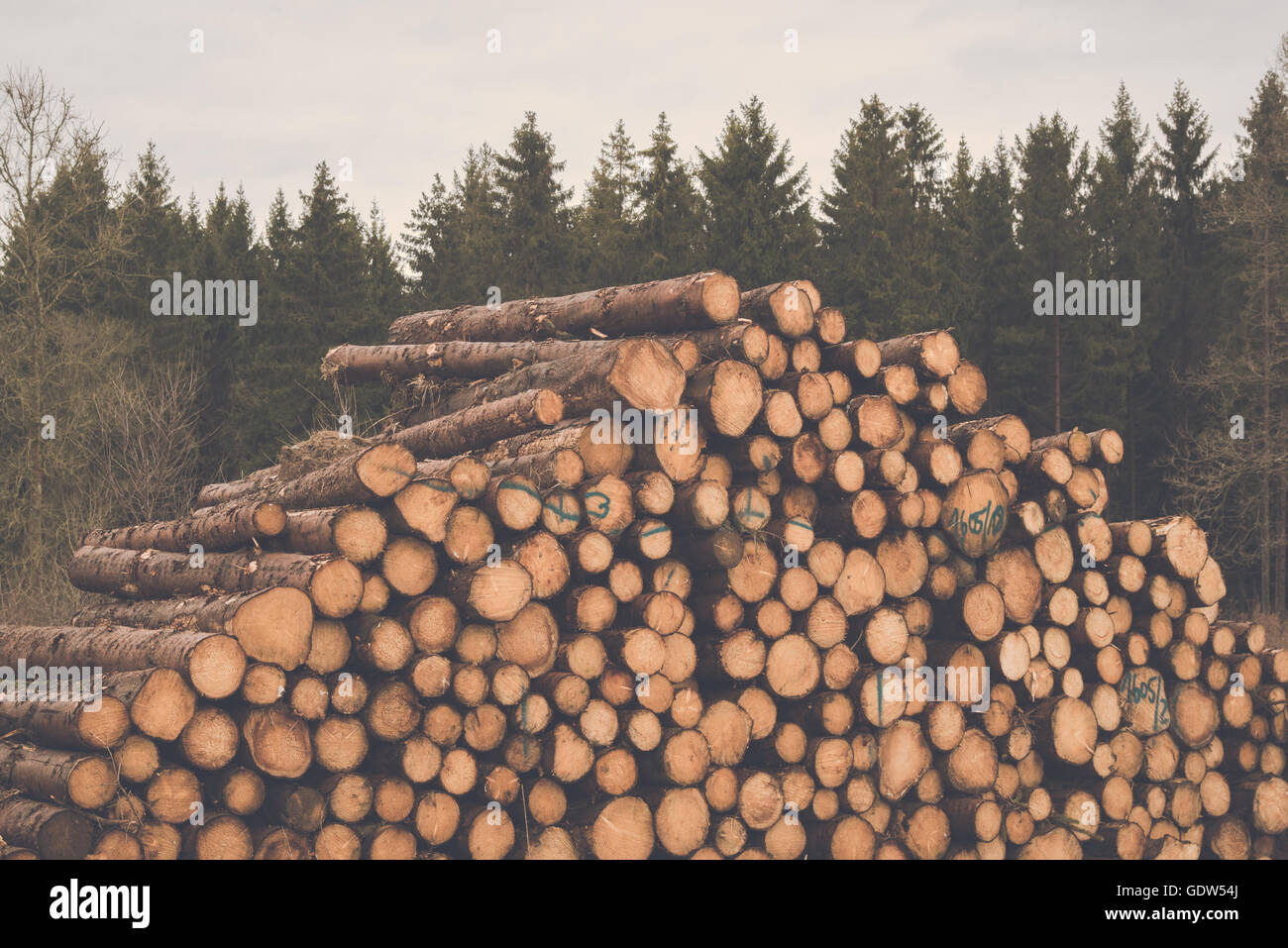 A stack of cut timber logs hi-res stock photography and images - Alamy