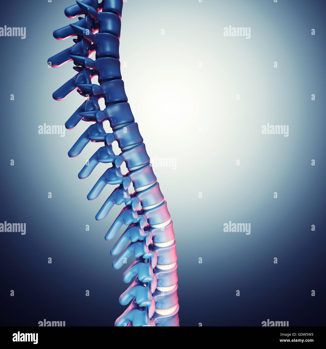 Spinal disc hi-res stock photography and images - Alamy