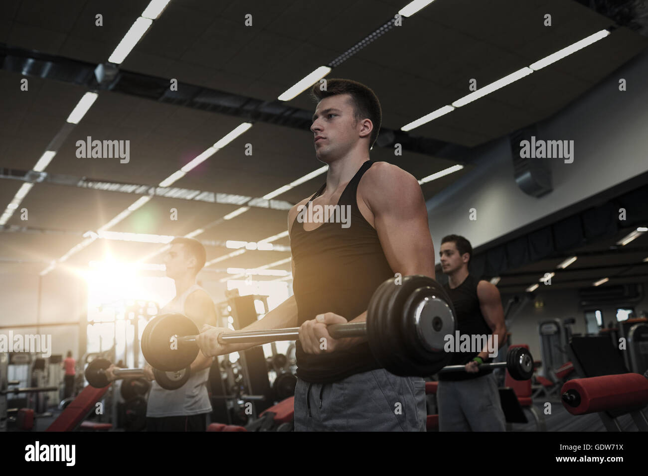 group of men flexing muscles with barbell in gym Stock Photo - Alamy